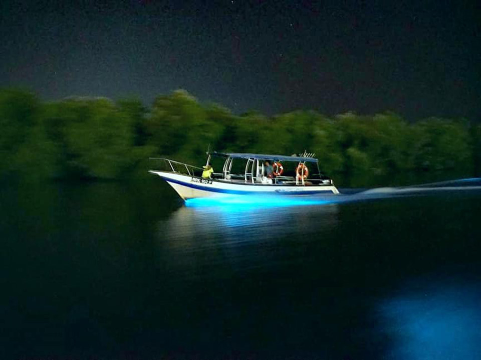 Blue Tears Kuala Selangor - Blue Tears Tour